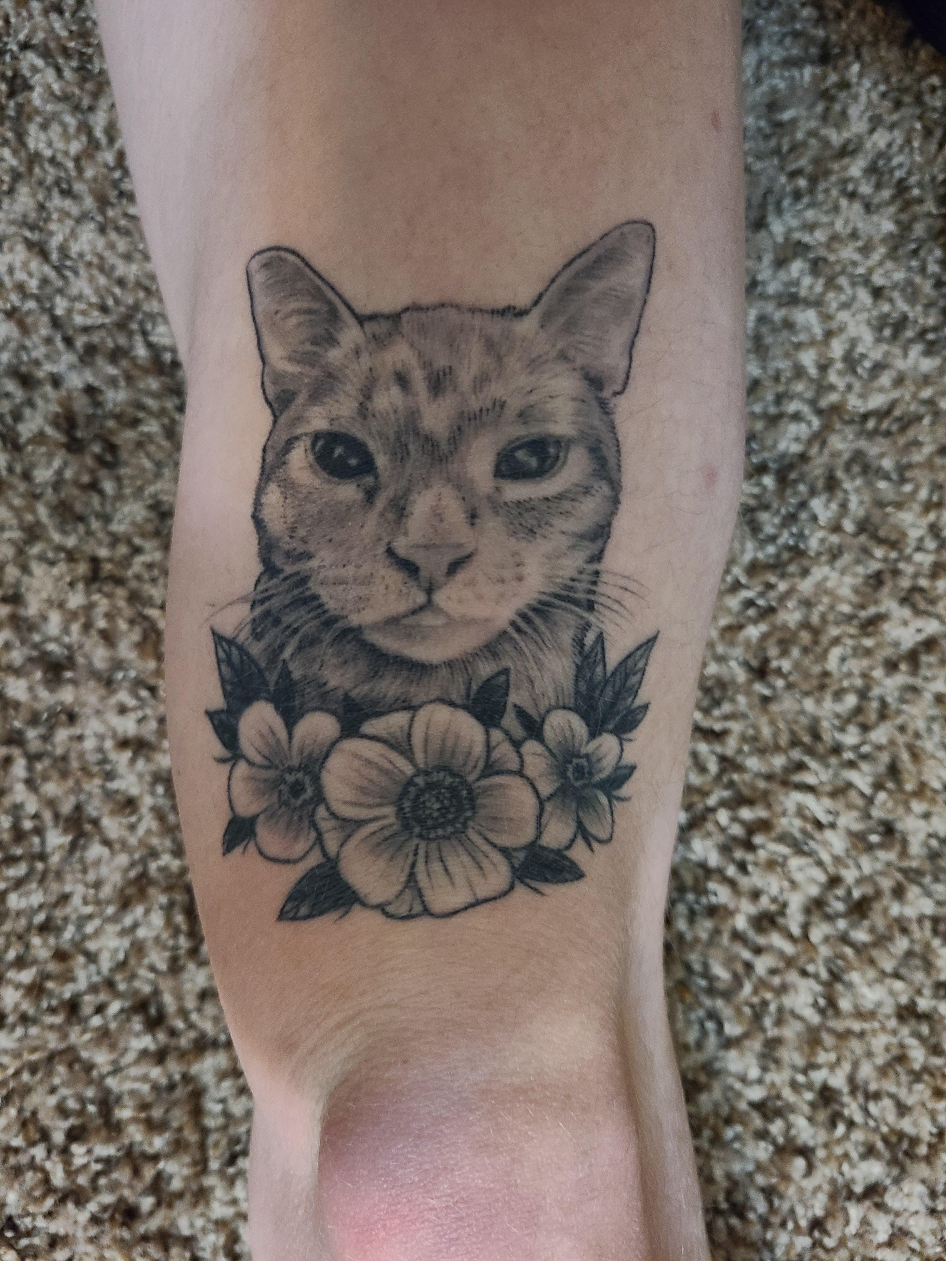 The eternal blep | Scrolller