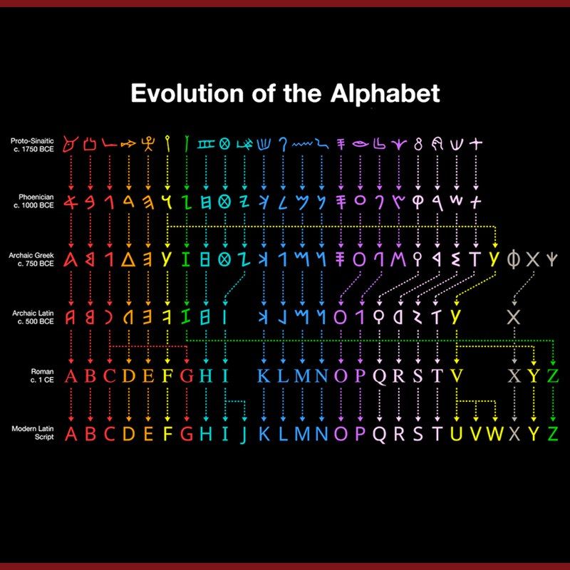 The evolution of letters | Scrolller