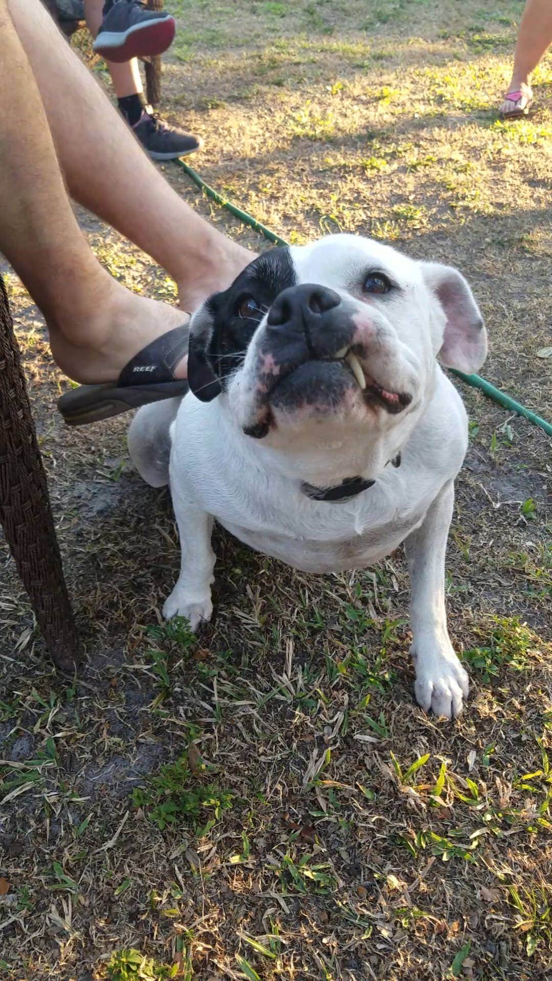 The face she makes when you scratch her butt | Scrolller