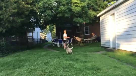 The fetch that almost was | Scrolller