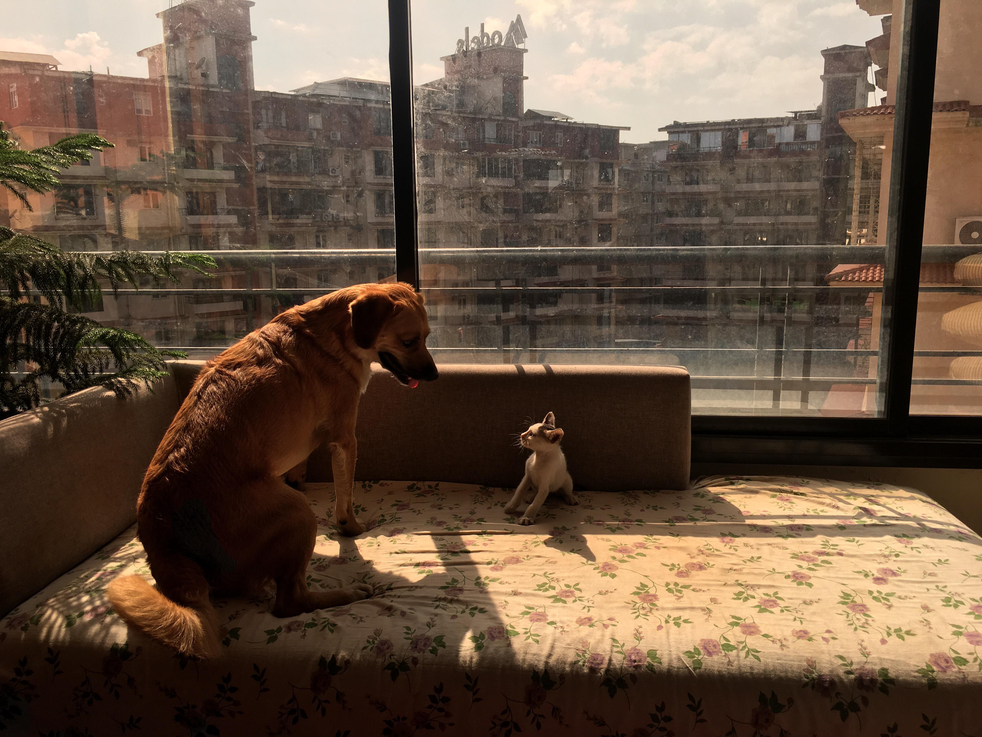 The first meeting 02 | Scrolller