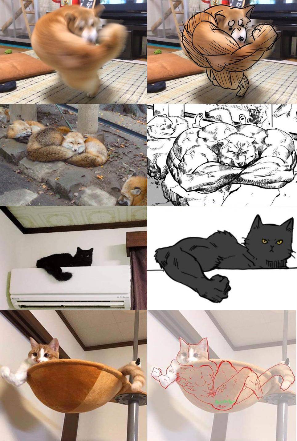 The Fur Horsemen of the Apocalypse | Scrolller