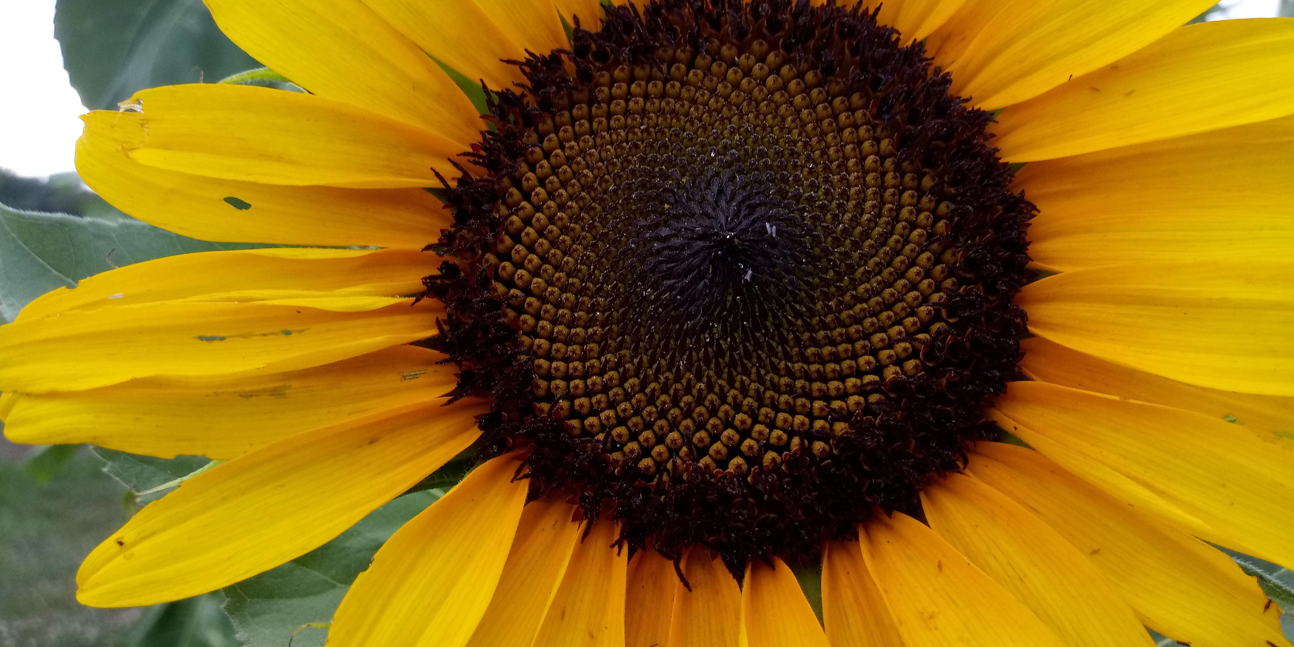 The geometry always gets me. (: | Scrolller