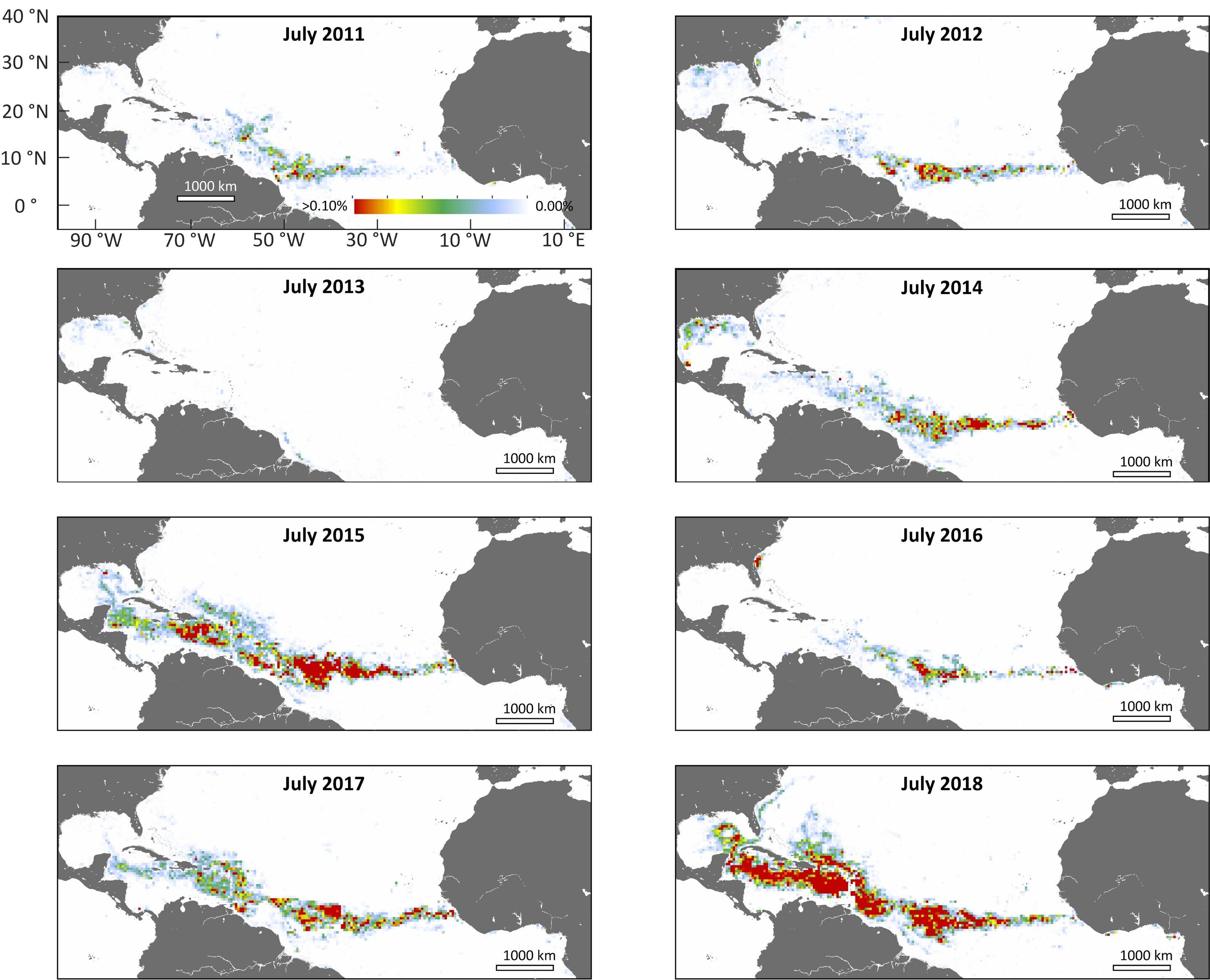 The Great Atlantic Sargassum Belt - the largest bloom of macroalgae in the world | Scrolller