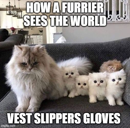 The hat is around somewhere. | Scrolller