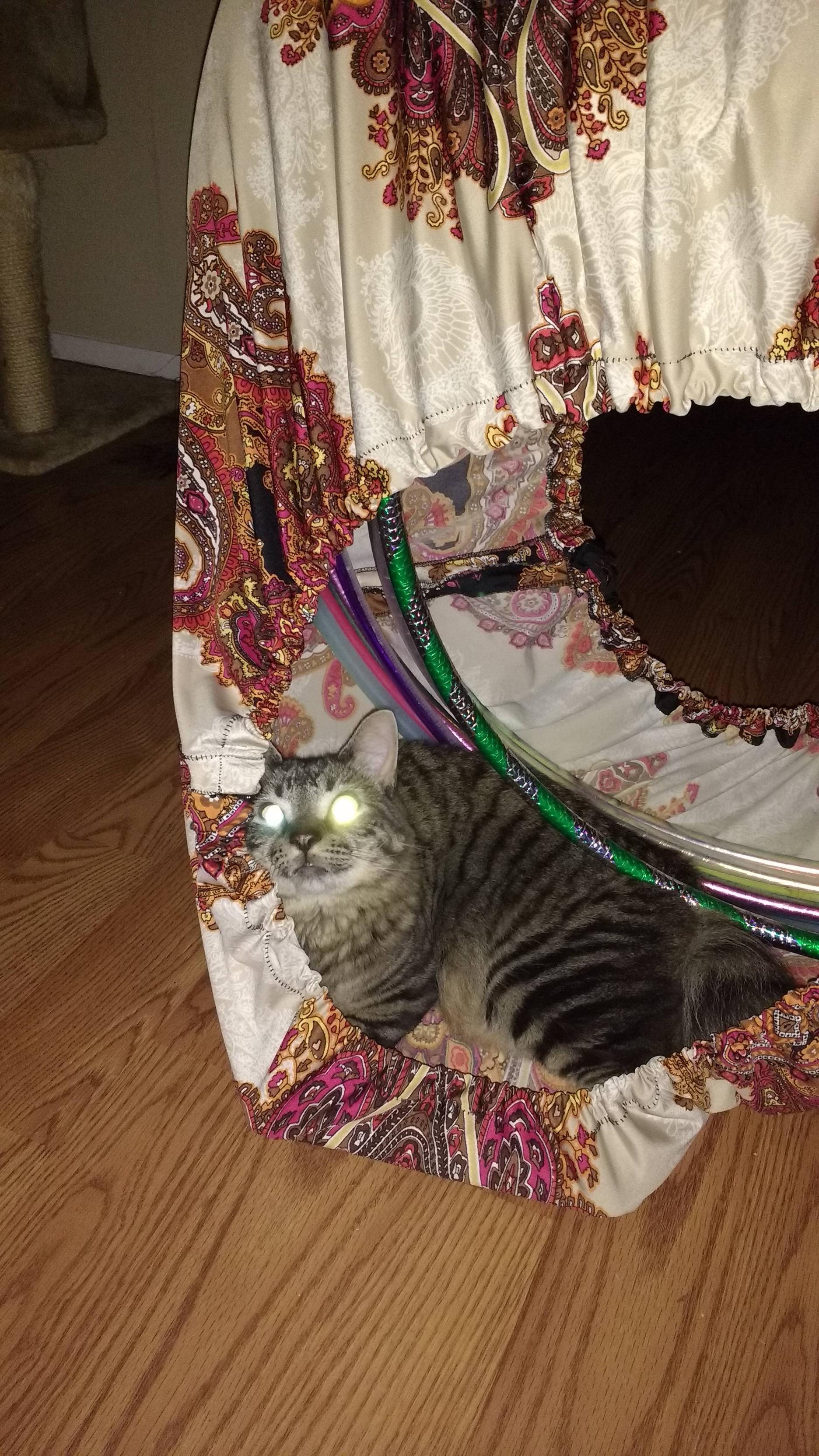 The inception. | Scrolller