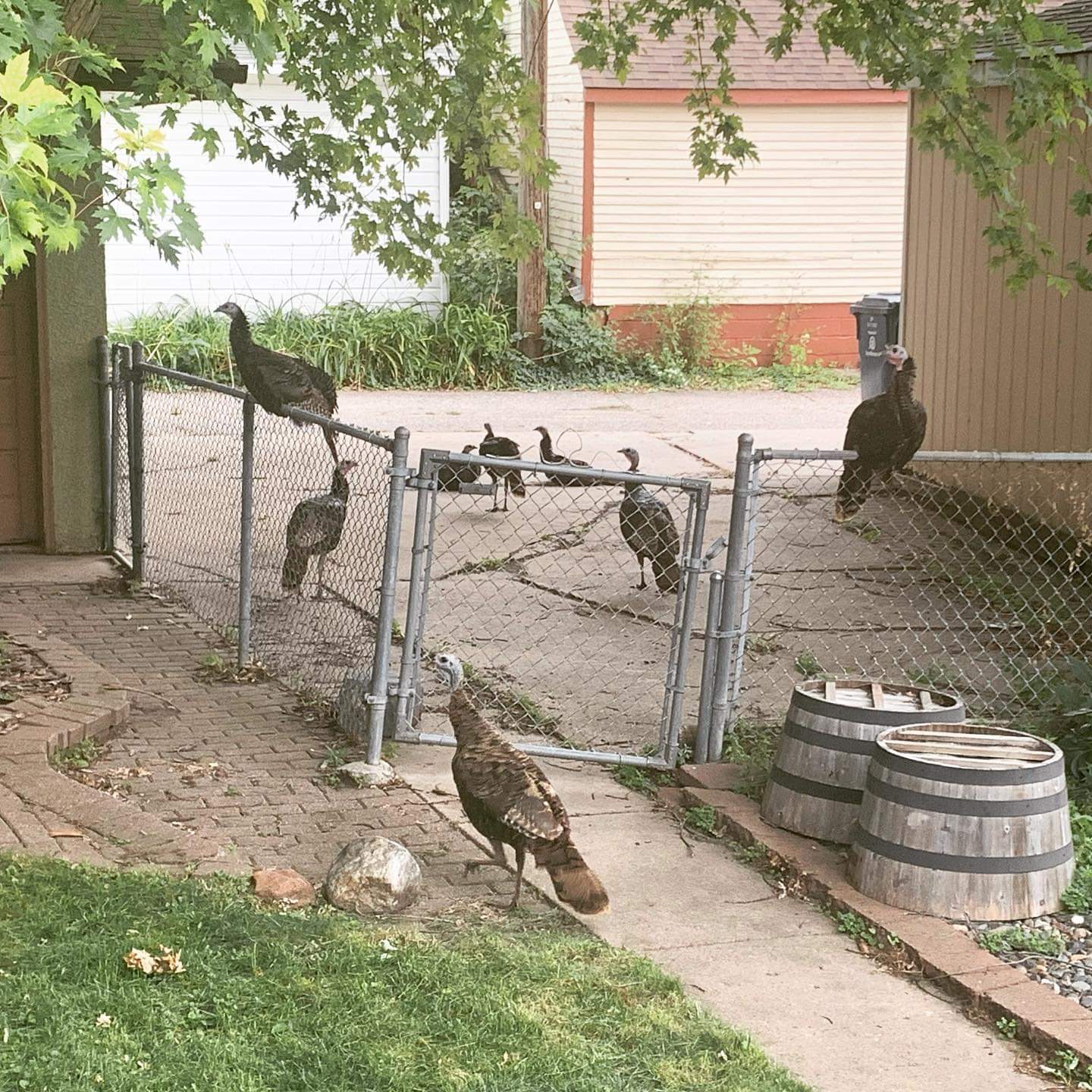 🔥 The Invasion Has Begun | Scrolller