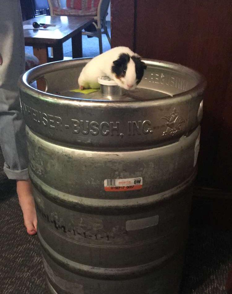 The Keg was his idea... | Scrolller