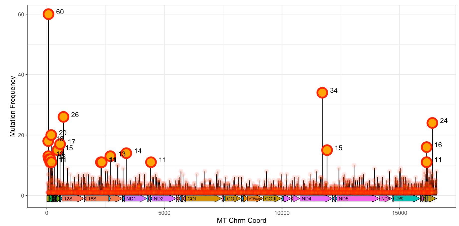 The landscape of mutation in the cancer mitchondrion [OC] | Scrolller