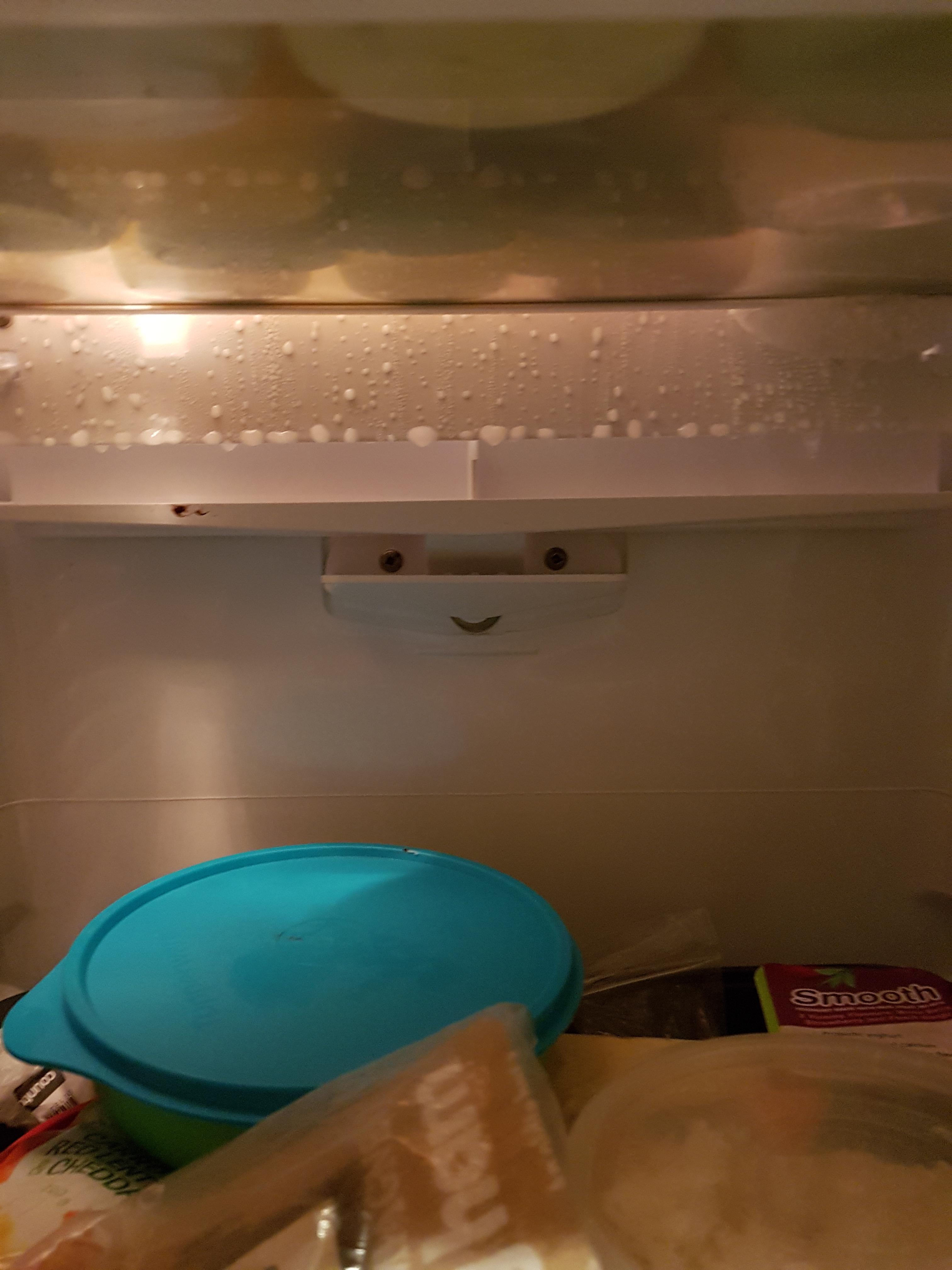 The man that lives in my fridge | Scrolller