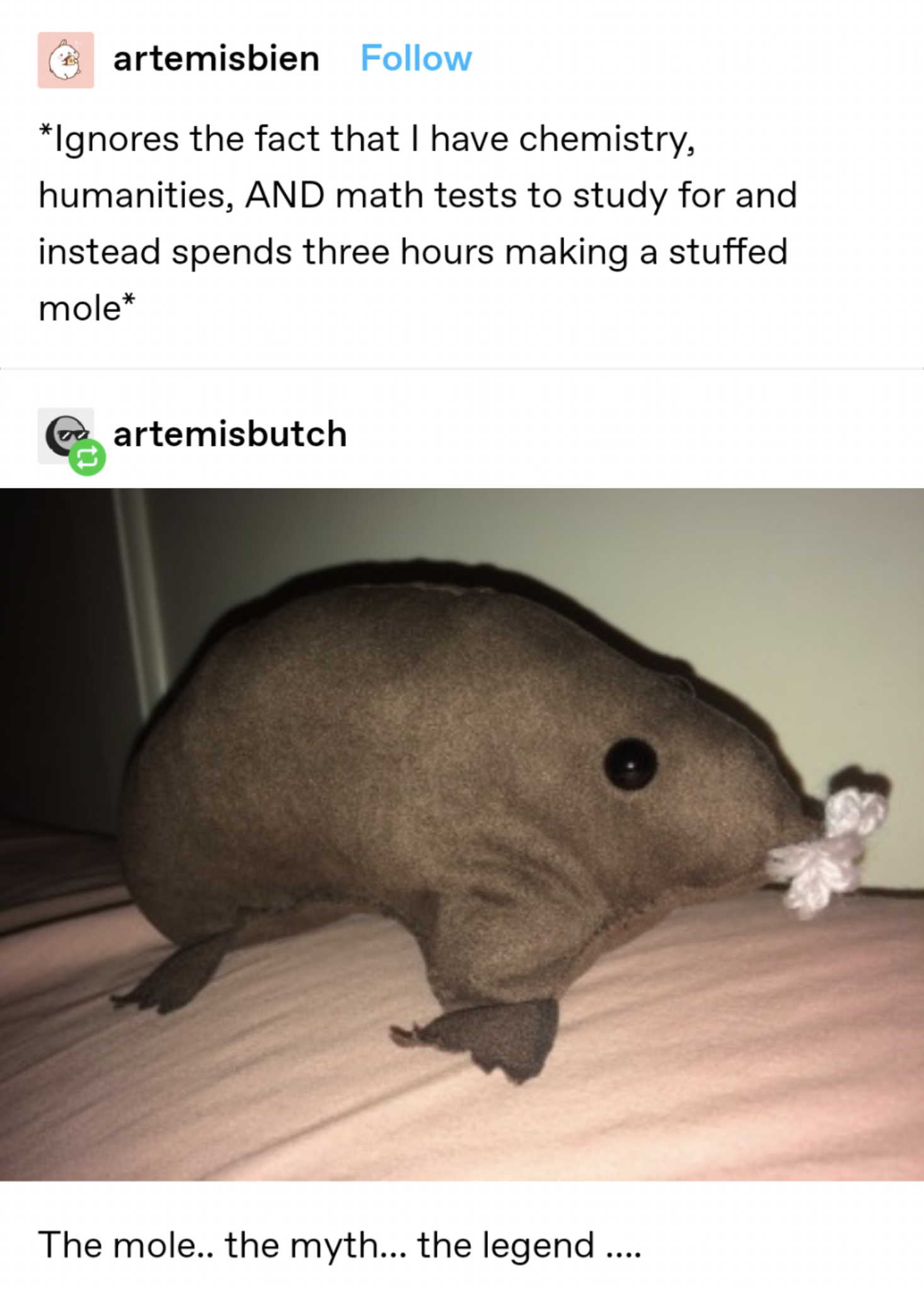 The mole | Scrolller