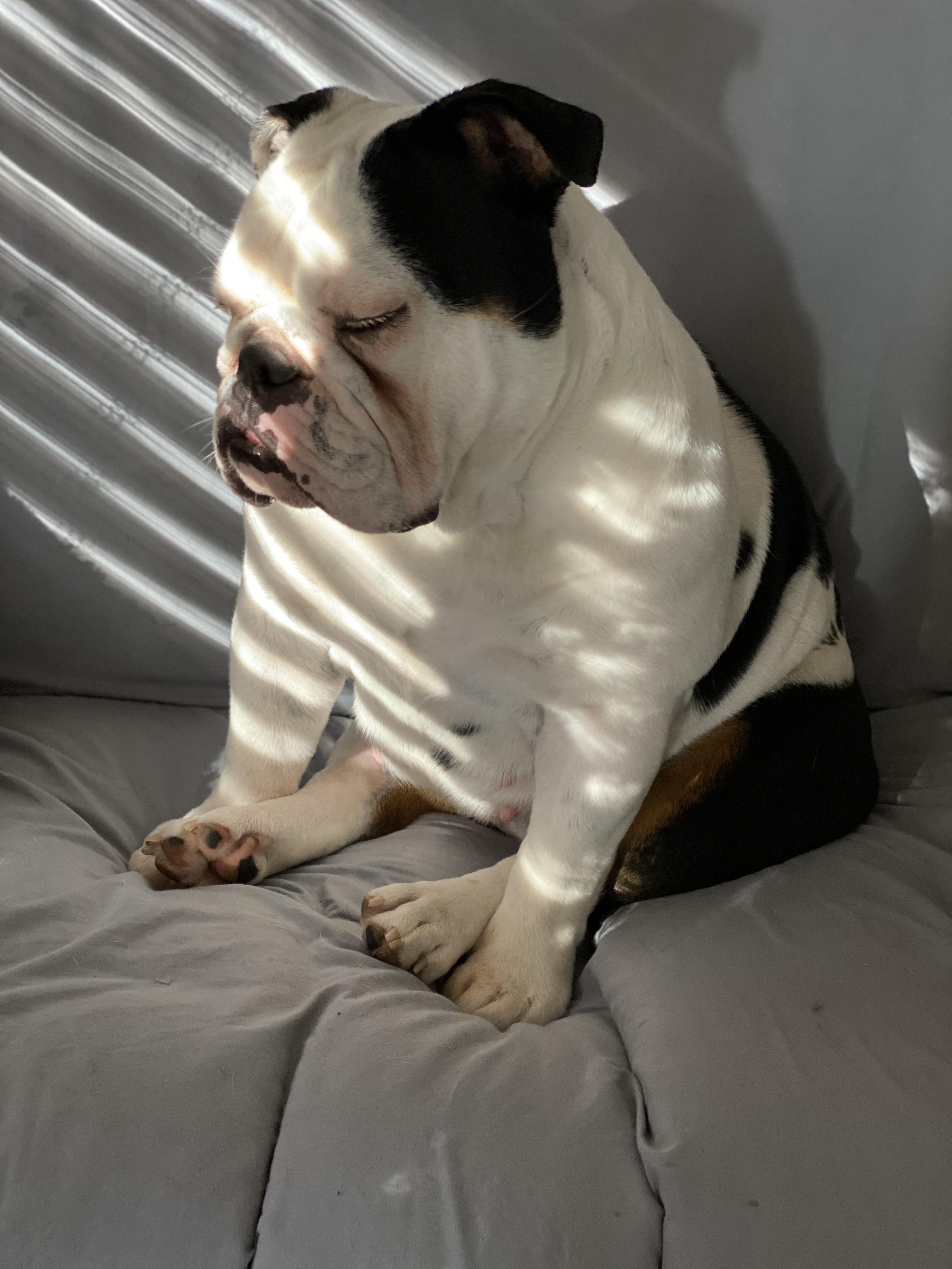 The morning after | Scrolller