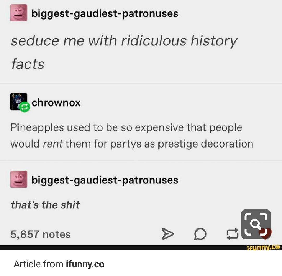 The Most Exquisite Centerpiece | Scrolller