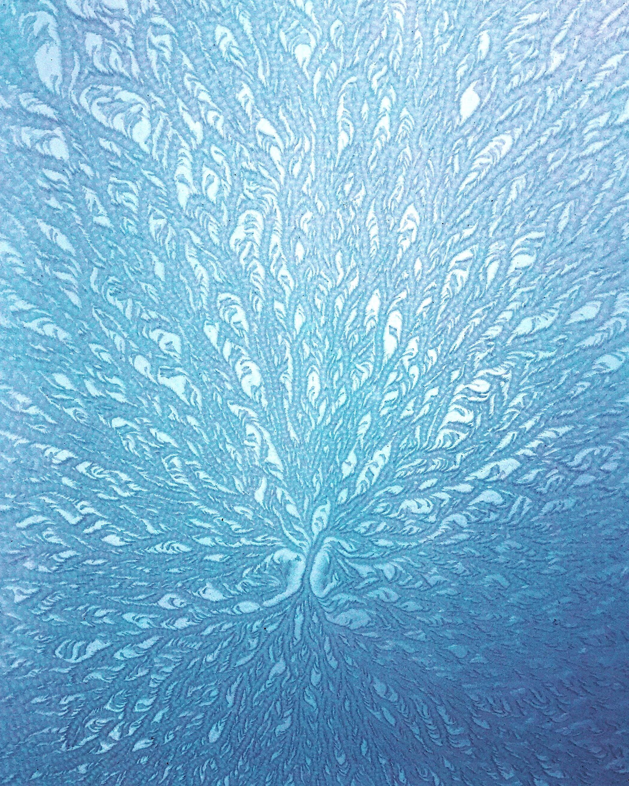 The natural frost pattern on my skylight | Scrolller