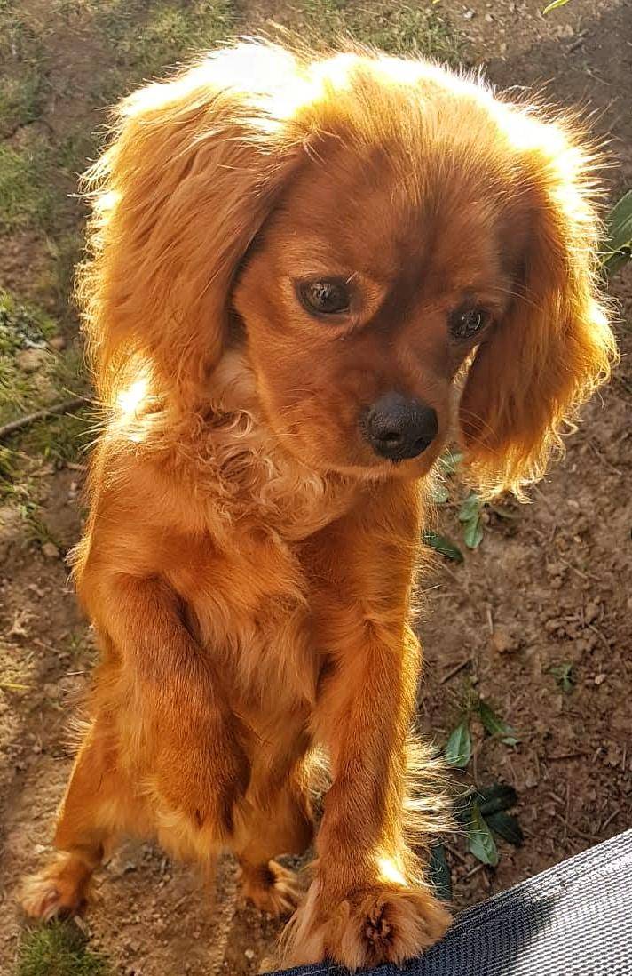 The newest family member... | Scrolller