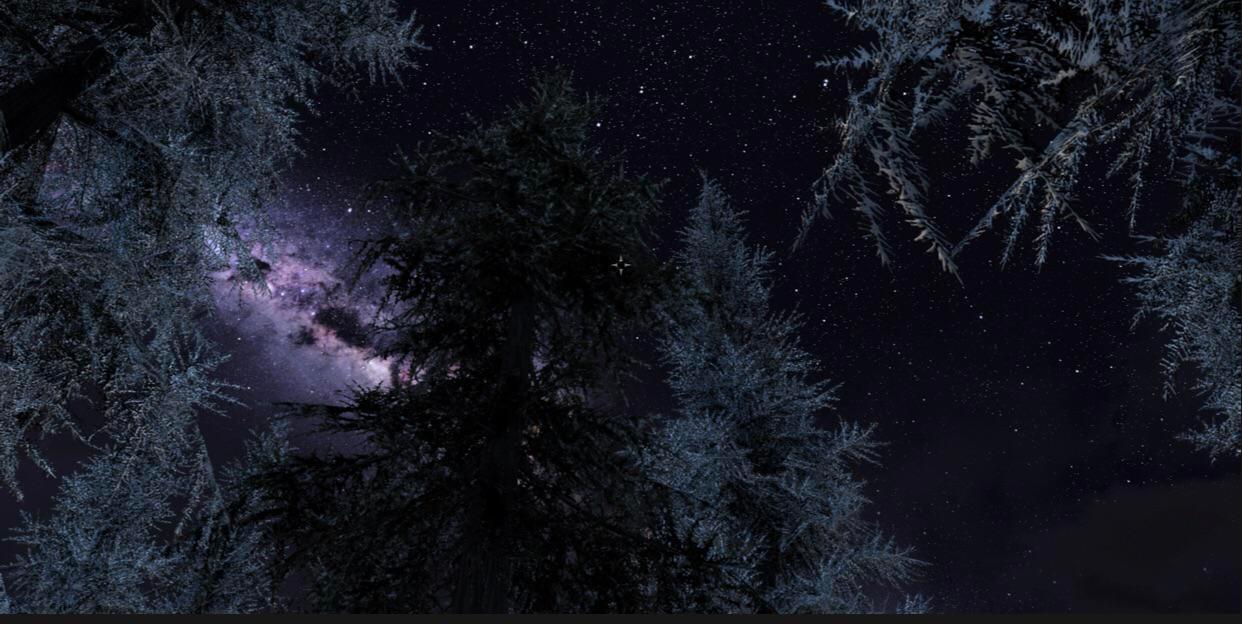 The night sky | Scrolller