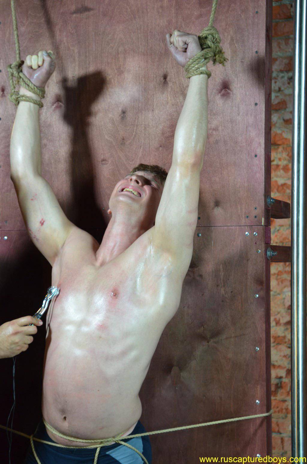 The nipples tortured by Electric Pin Wheel. A pic from RusCapturedBoys.com video “Rented Captive ...