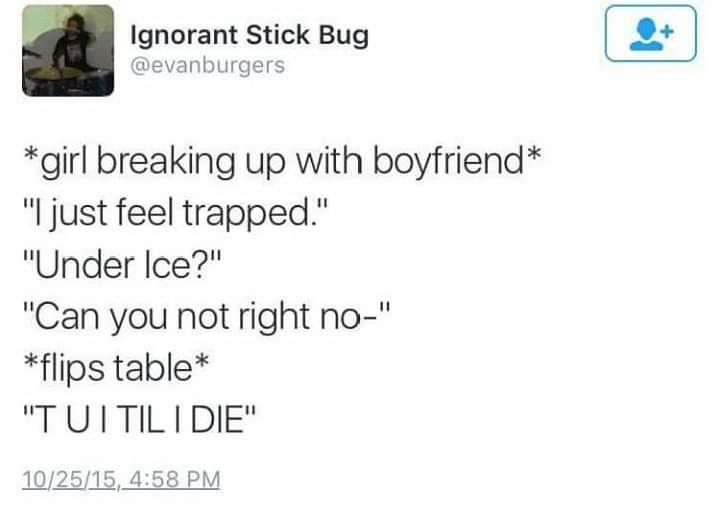 The only appropriate response. | Scrolller