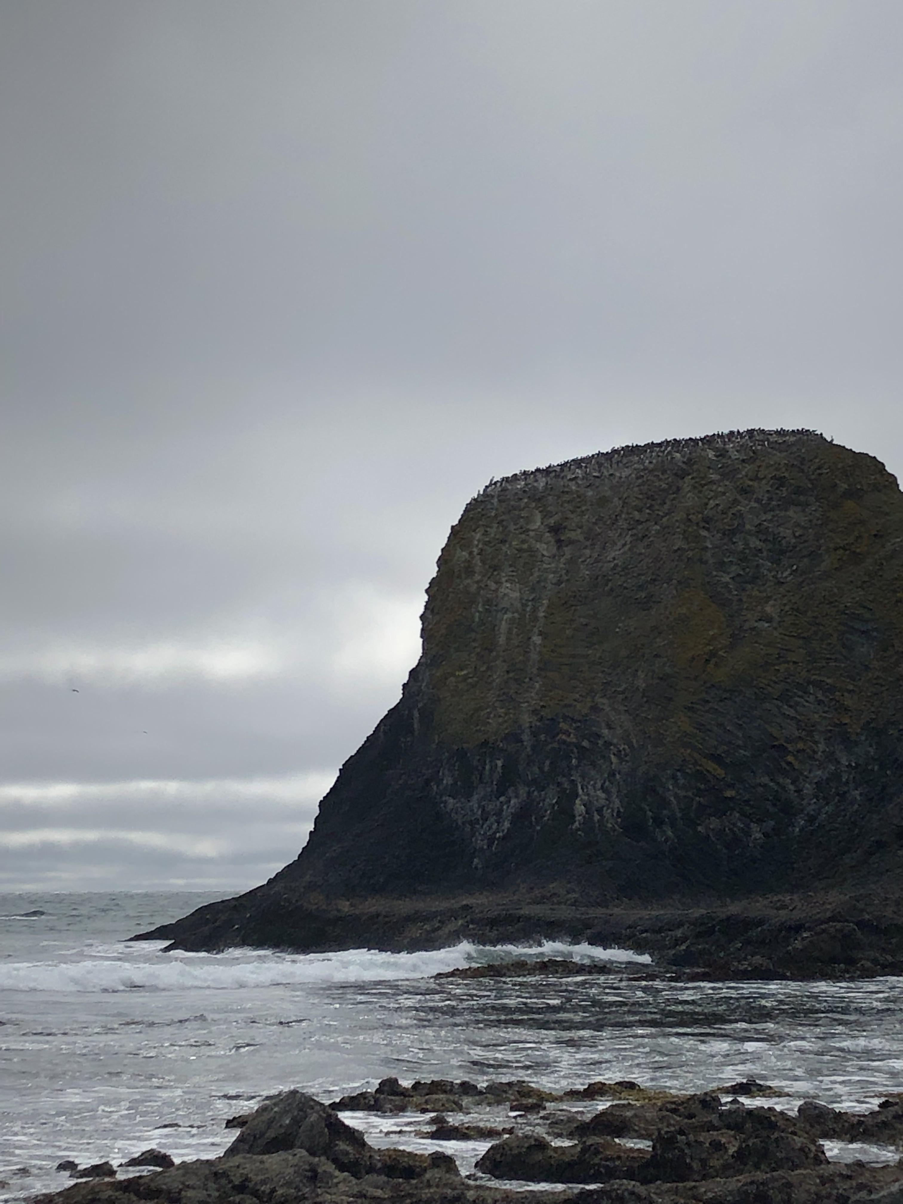 The Oregon coast | Scrolller