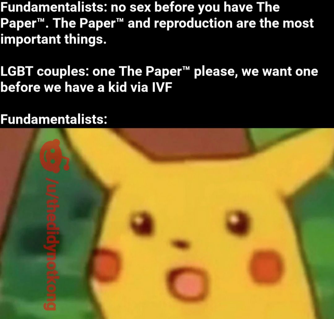 The Paper™ | Scrolller