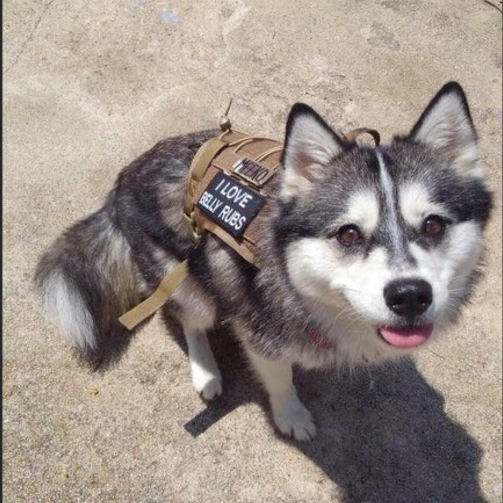 The perfect blop. | Scrolller