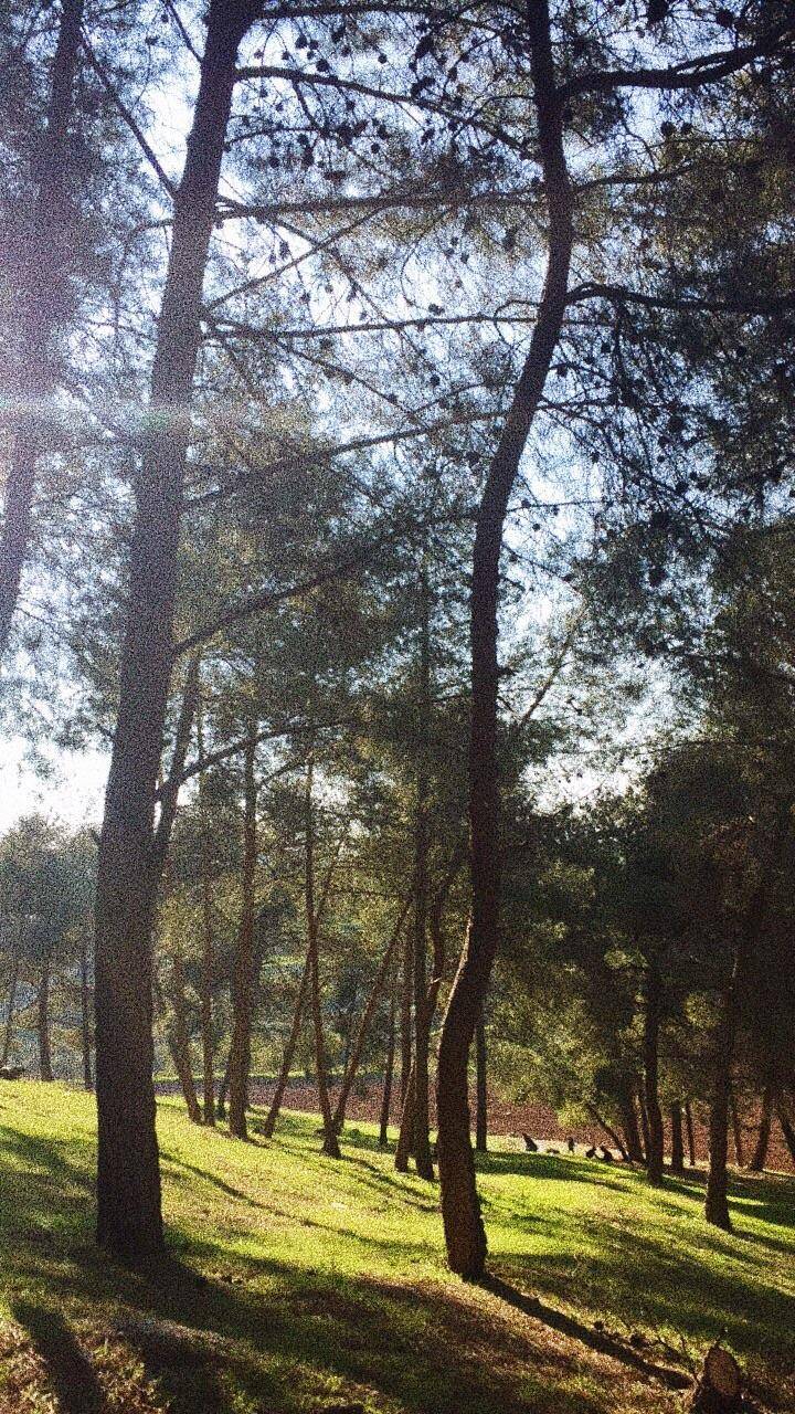 The positive aftermath of the heavy rain. | Scrolller