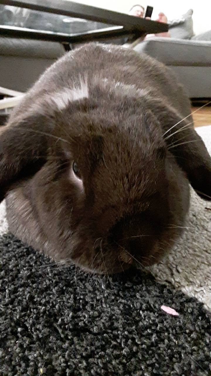 The potato bread but up close. | Scrolller