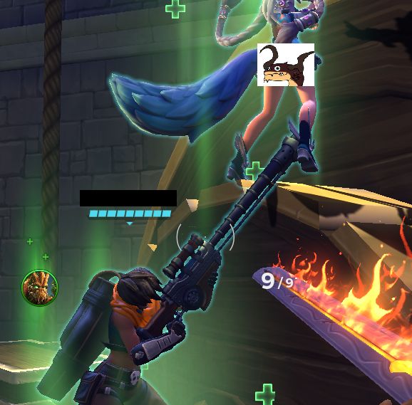 The REAL standard paladins player | Scrolller