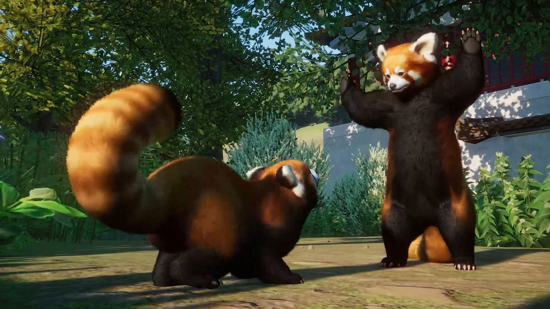 The red pandas in Planet Zoo are just incredible | Scrolller