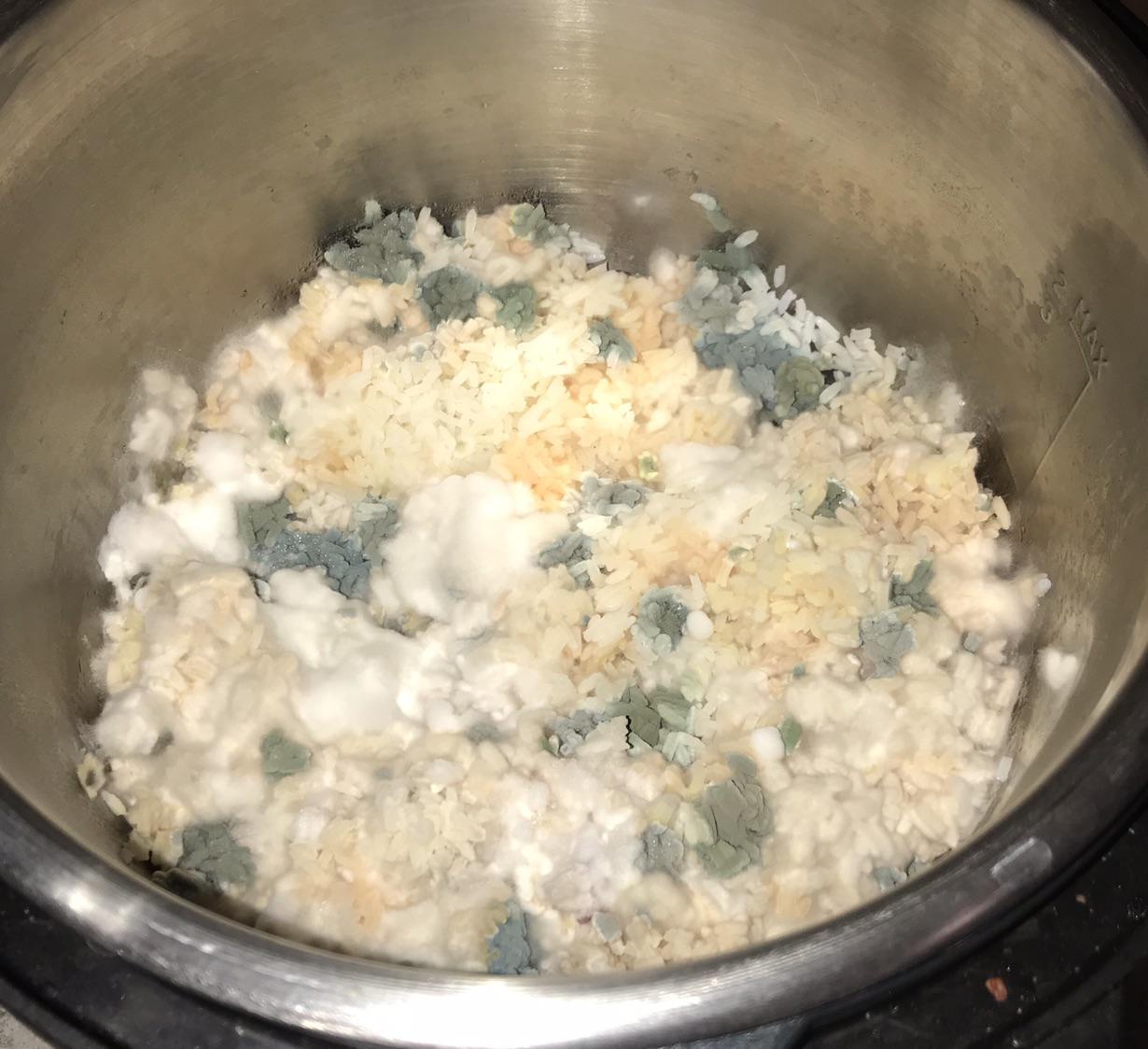 The rice was forgotten in the rice cooker so long that the image looks out of focus due to fuzz ...