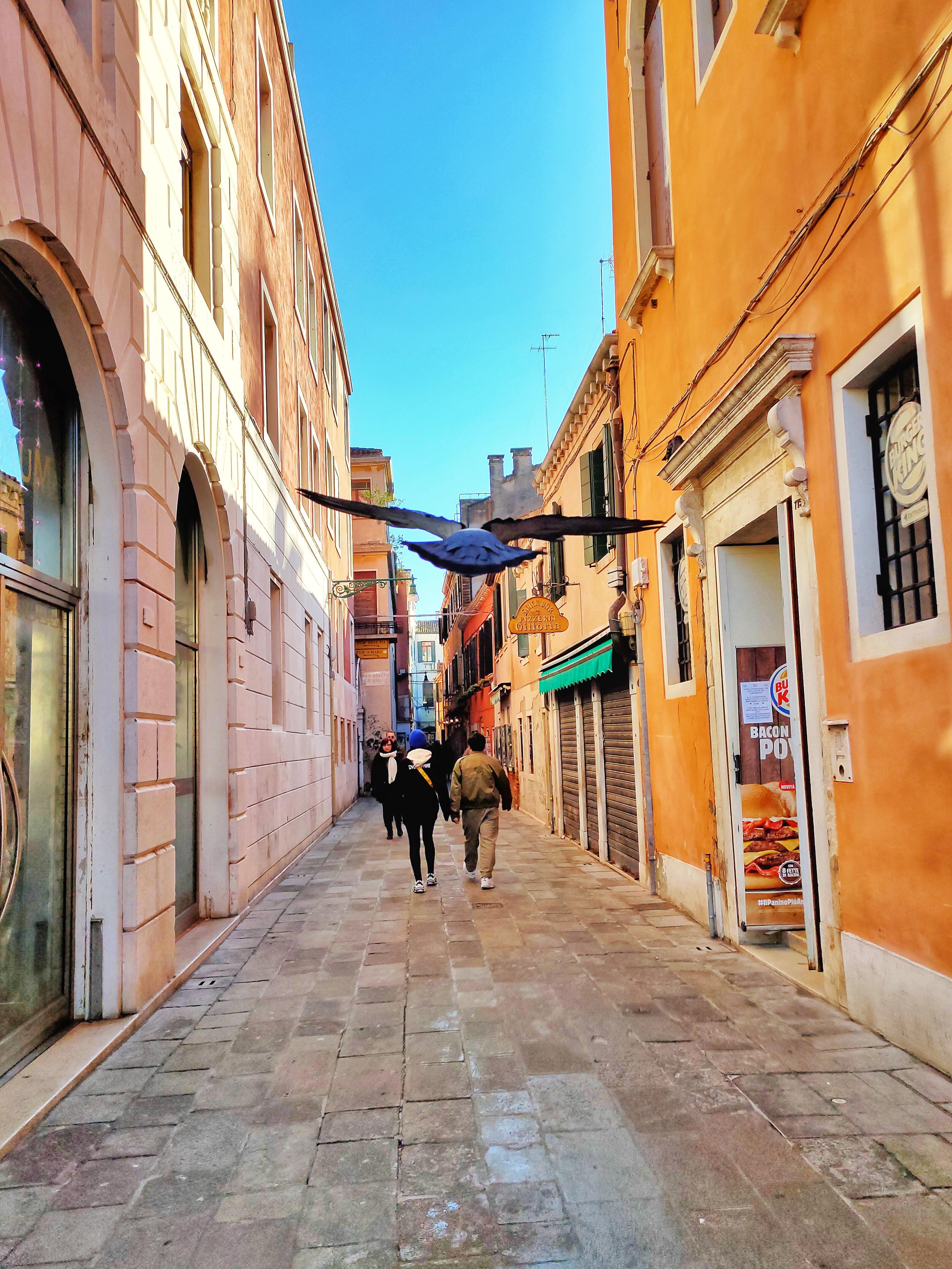 The streets of Venice ️ [OC] | Scrolller