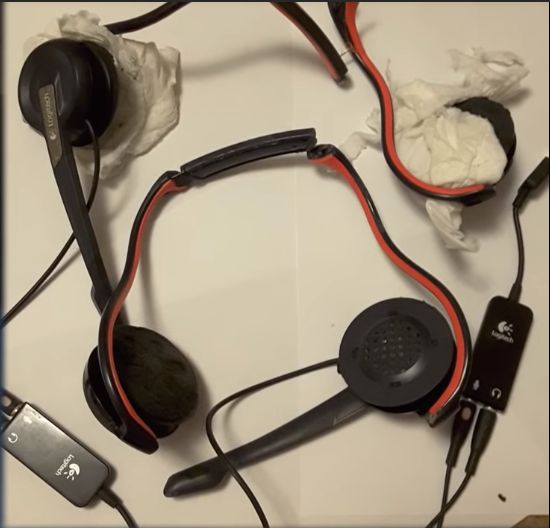 The True beauty that is Etho's Headset | Scrolller