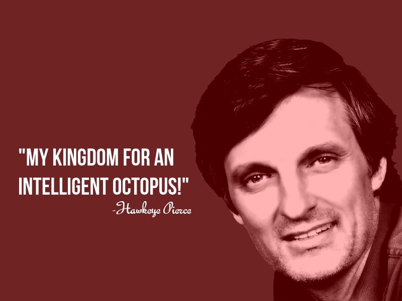 The true desire of Korea's best surgeon | Scrolller