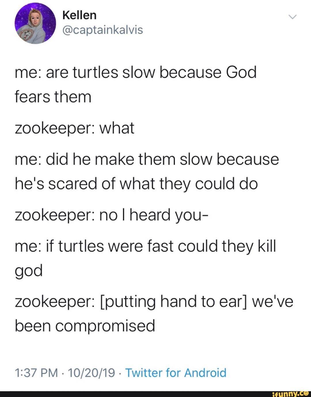 The turtle moves! | Scrolller