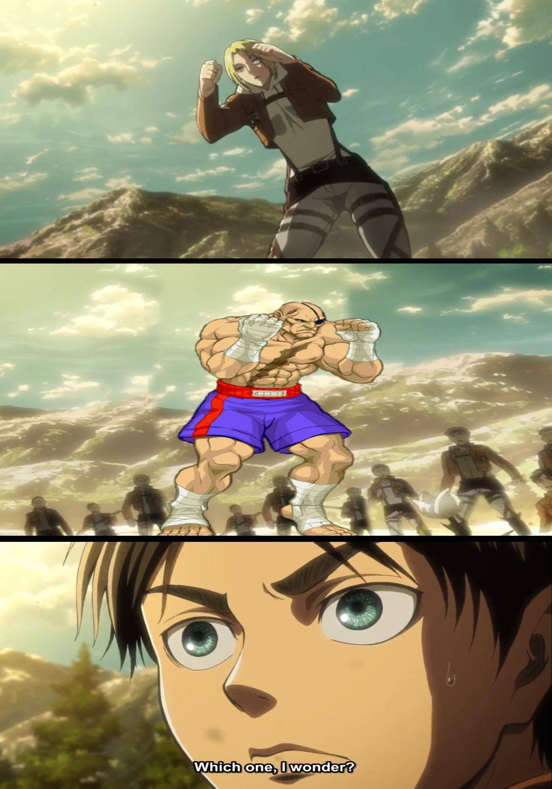 The ultimate MMA battle | Scrolller