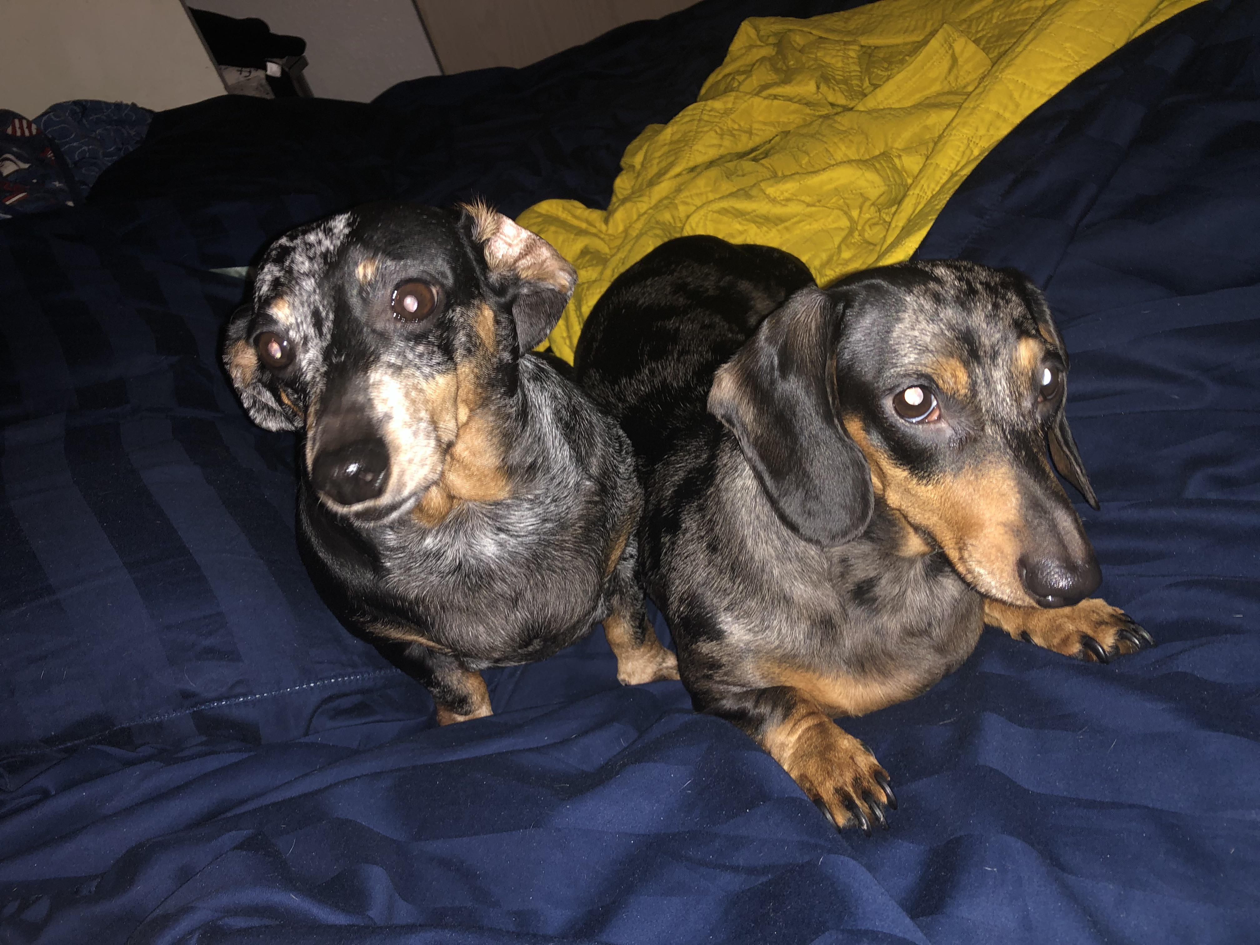 The usual suspects | Scrolller