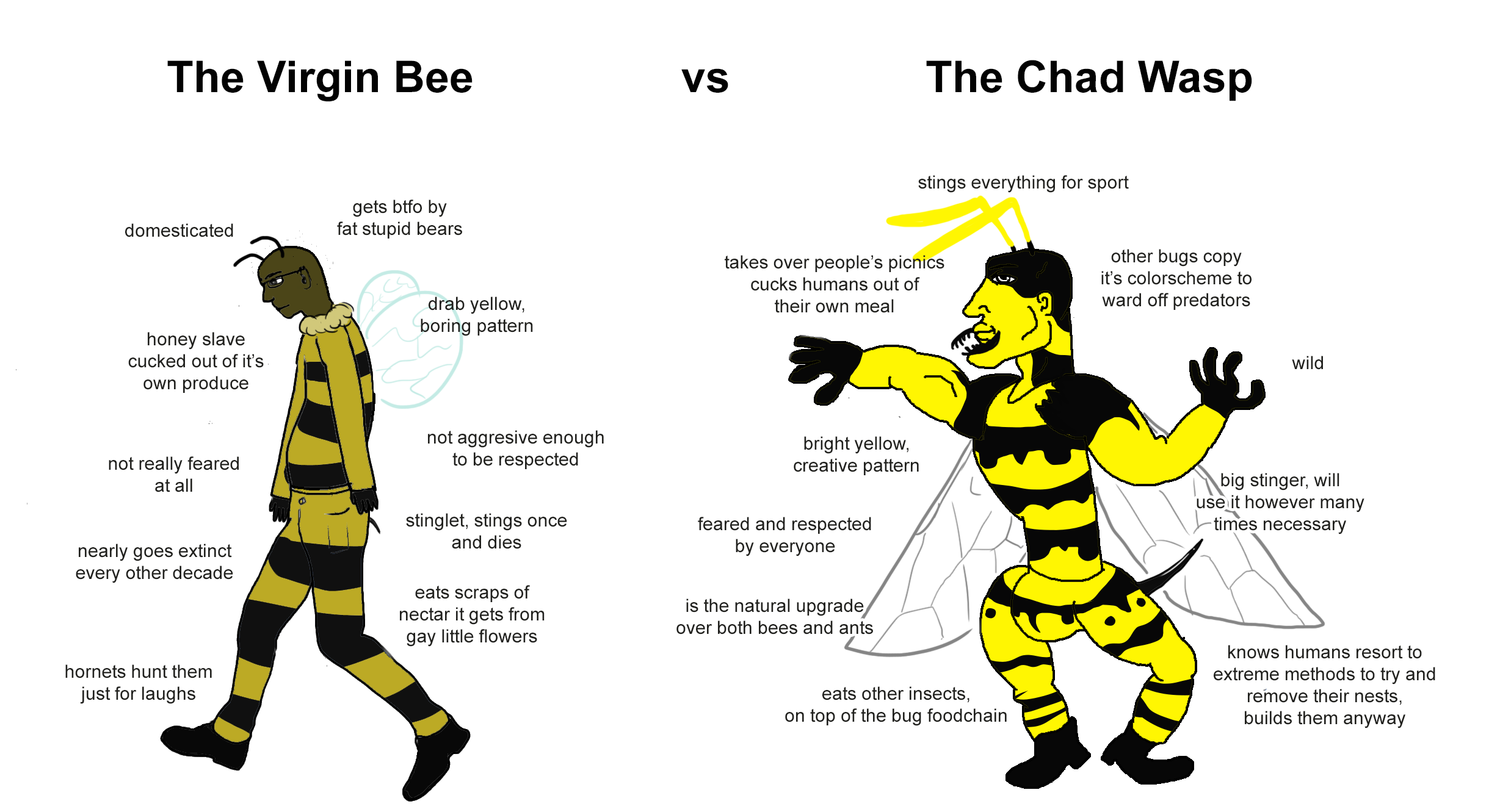 The Virgin bee vs. the Chad wasp | Scrolller