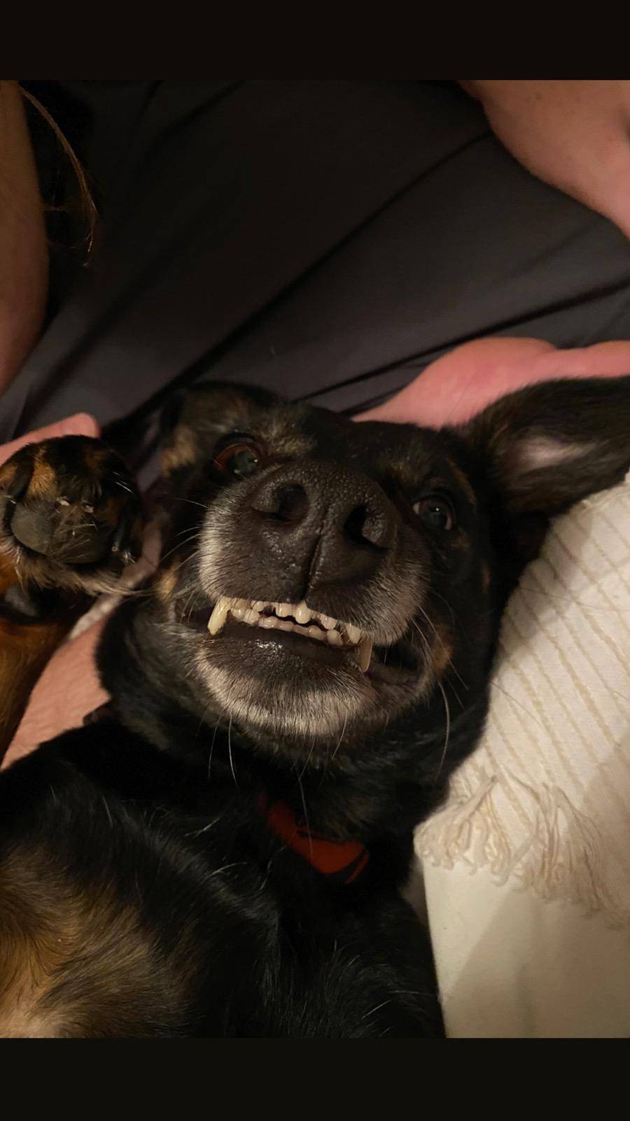 The way she smiles... | Scrolller