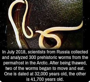 thousand year old worms | Scrolller