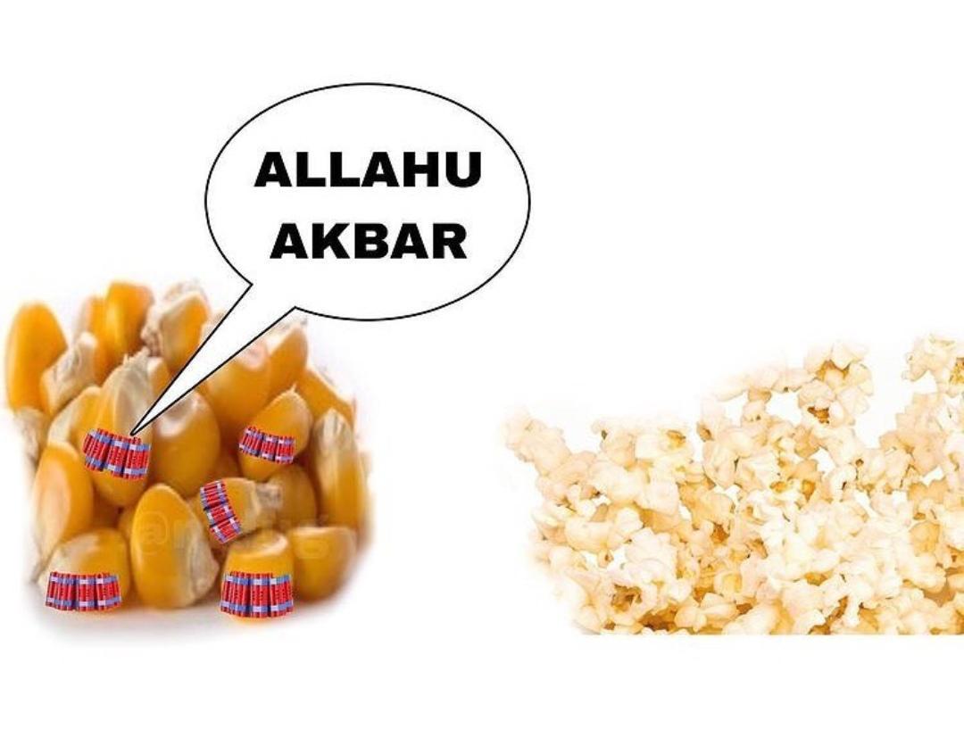 The worst type of corn | Scrolller