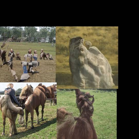 These are some lovely horses | Scrolller