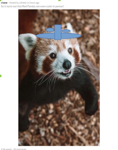 These mortals underestimating the power of red pandas | Scrolller