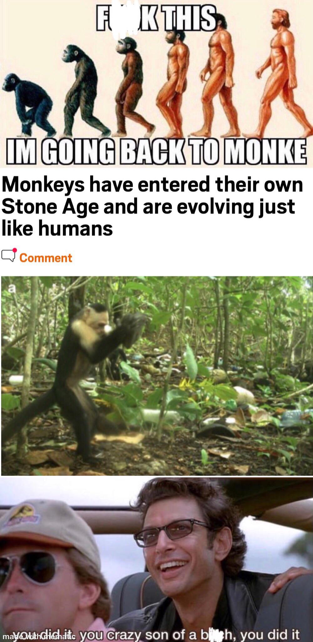 Monke is just too good | Scrolller