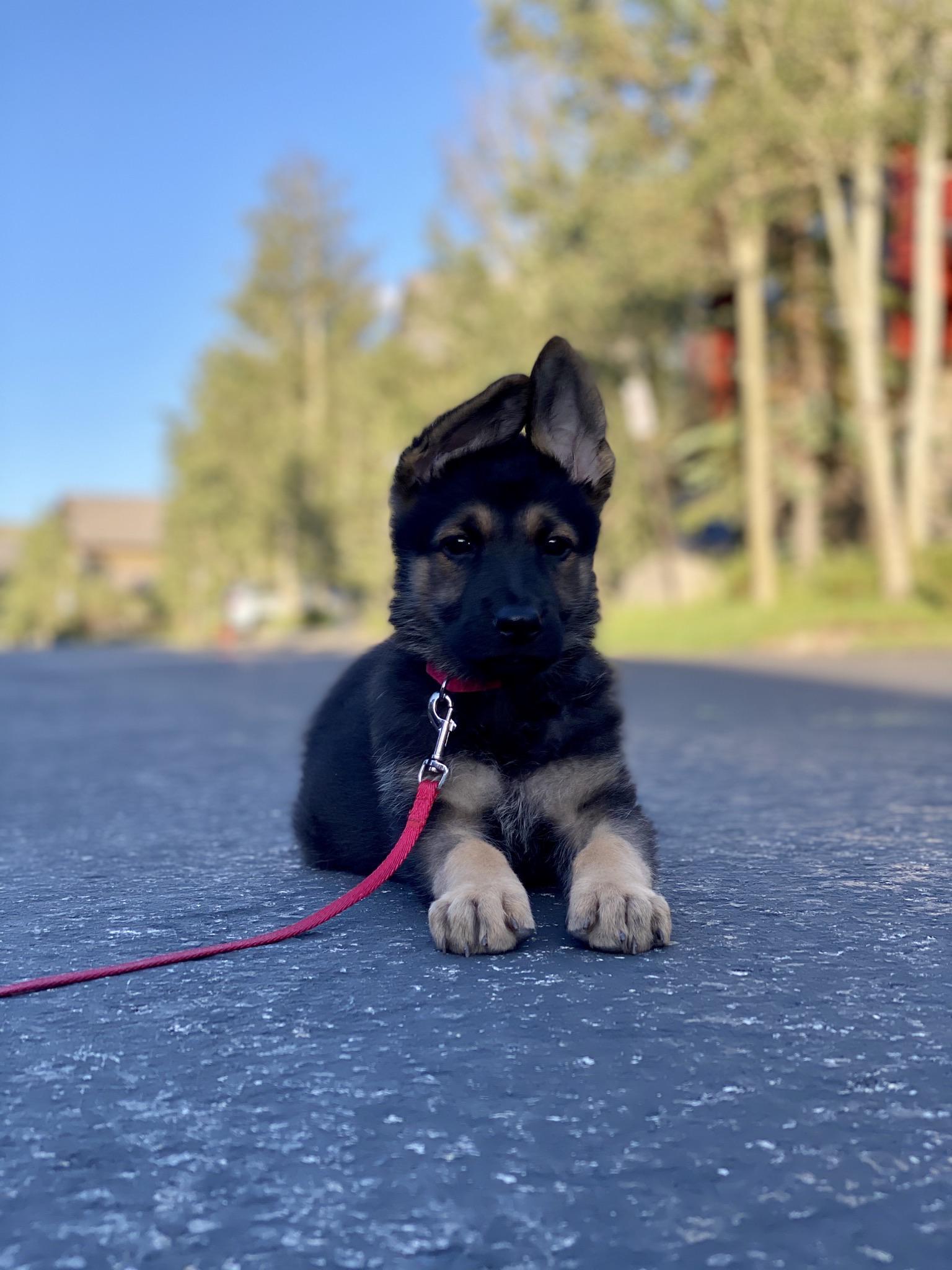 They grow so fast. | Scrolller