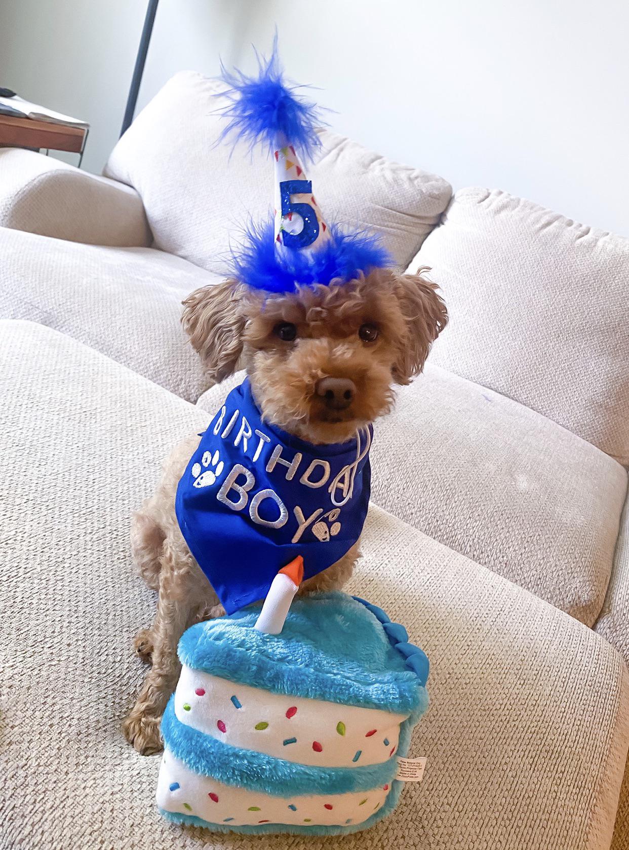 They grow up so fast! 😭 | Scrolller