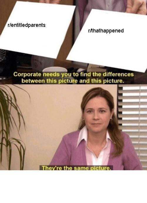 They're the same picture | Scrolller