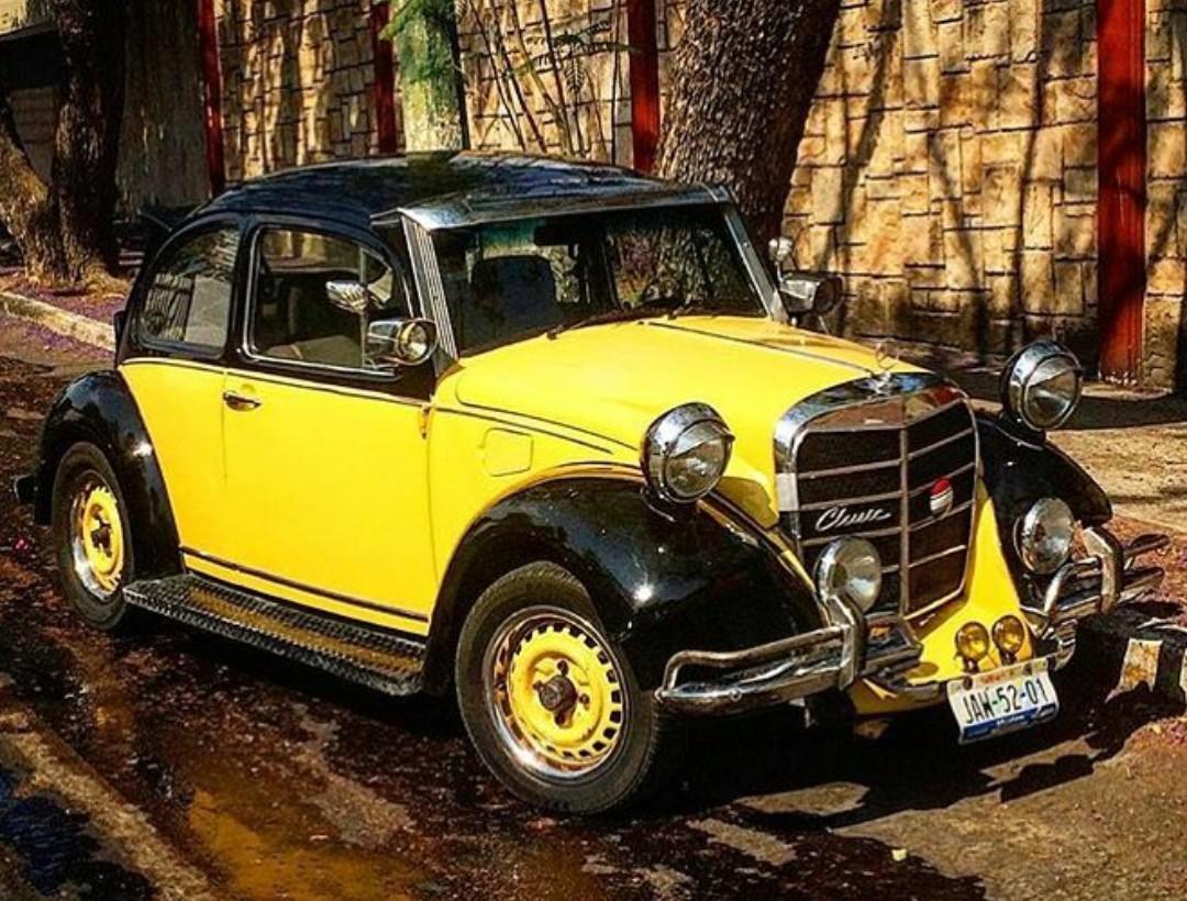 This Beetle | Scrolller