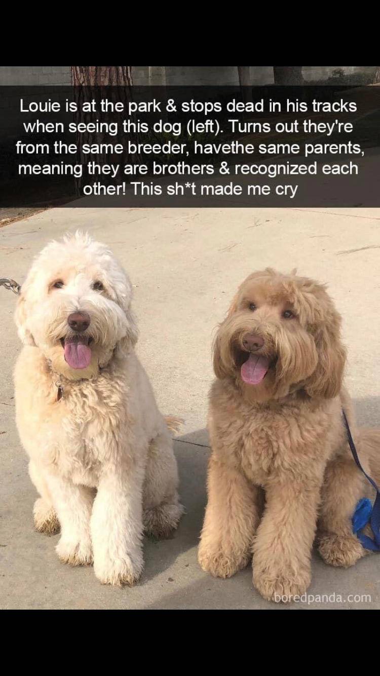 This hits deep😩😩😩 | Scrolller