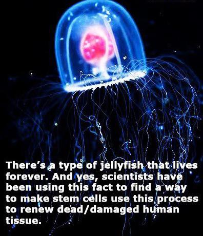 This is absolutely insane | Scrolller