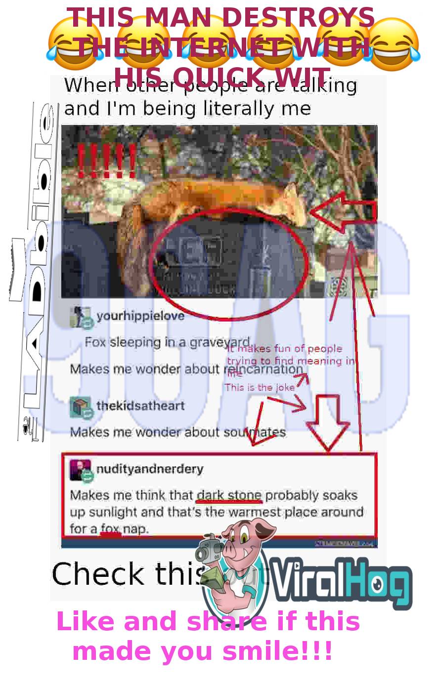 This is epic | Scrolller